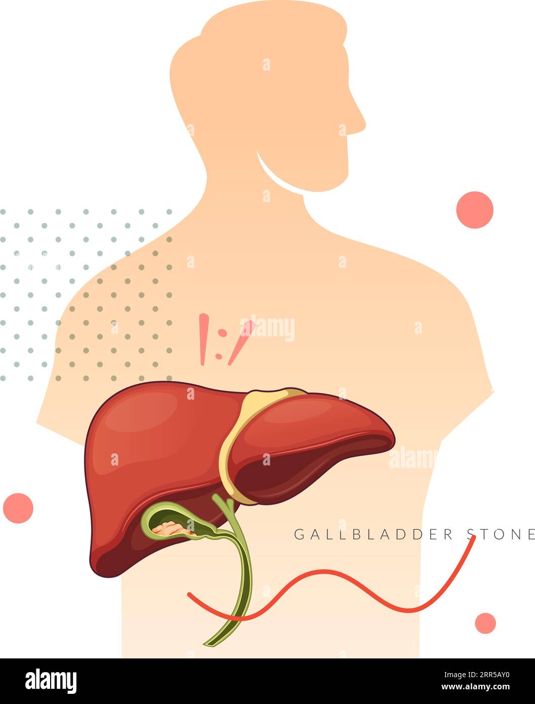 Gall Bladder - Liver Icon stock illustration as EPS 10 File Stock ...