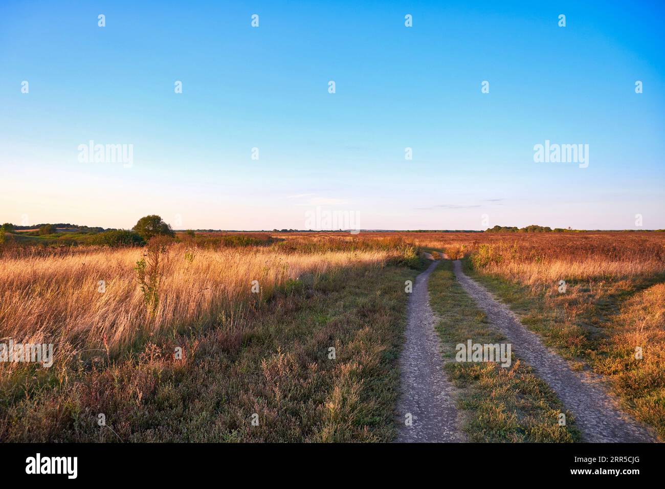 Dirt road through the field at sunset Stock Photo - Alamy