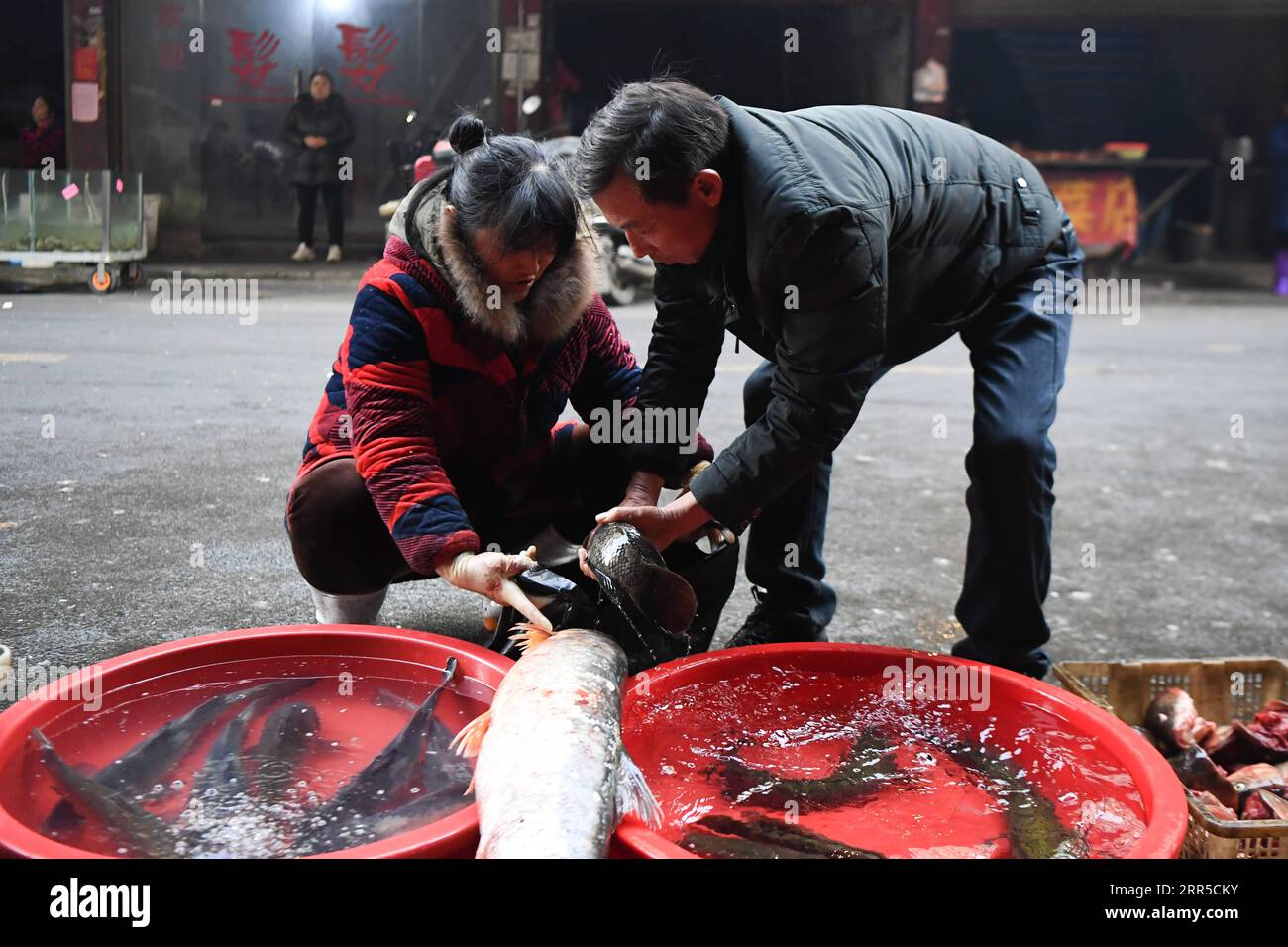 Phosphorus forest hi-res stock photography and images - Alamy
