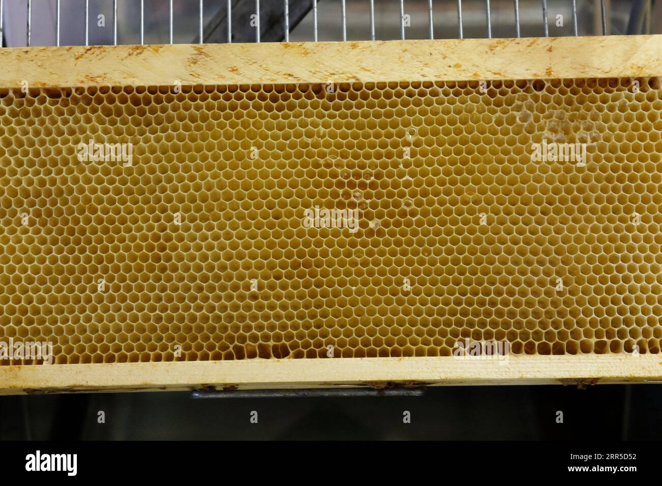 Honeycomb wood hi-res stock photography and images - Alamy