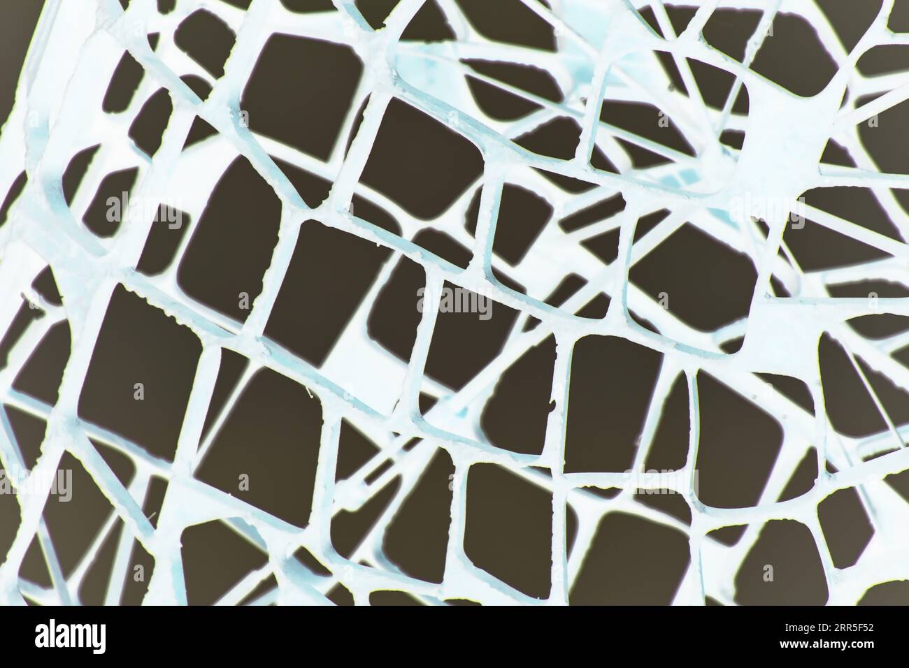 Close up of the sculpture „The warrior“ in Venlo by Rik van Rijswick Stock Photo - Alamy