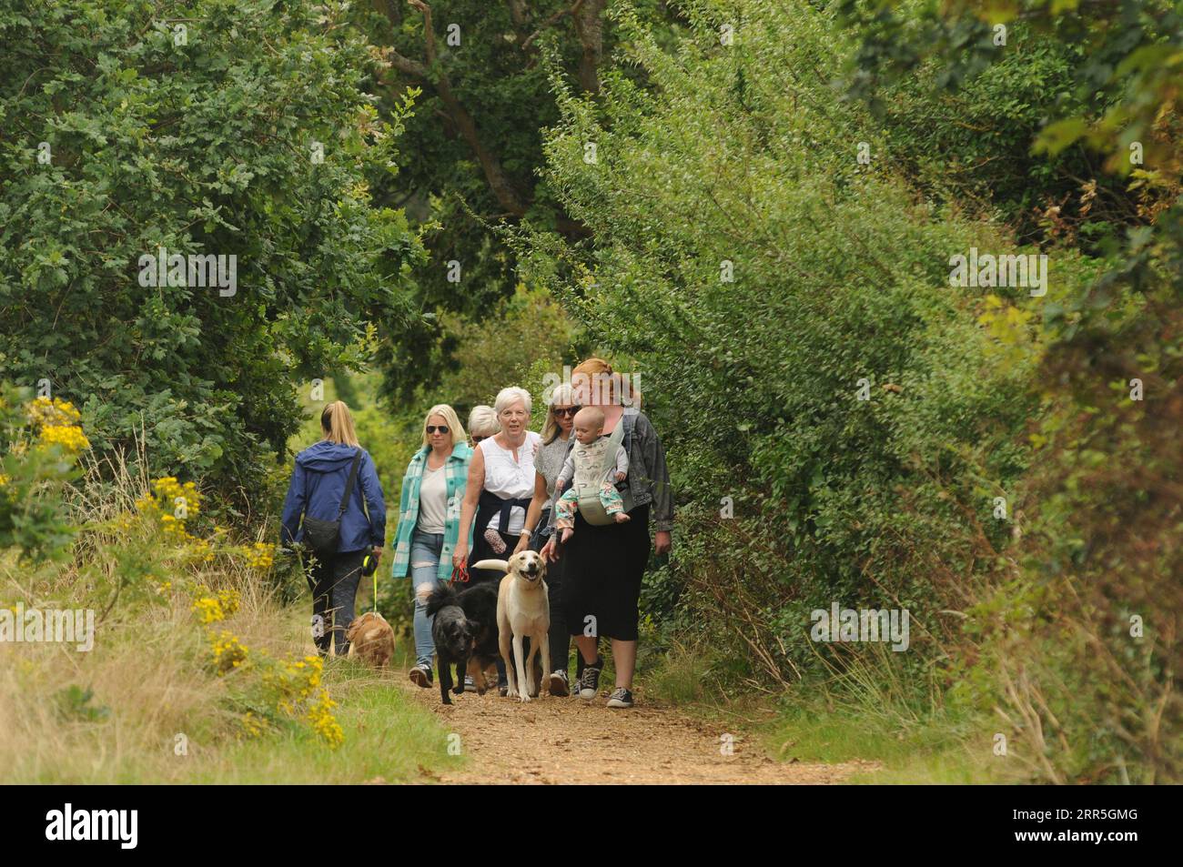 Coastal path warsash hi-res stock photography and images - Alamy