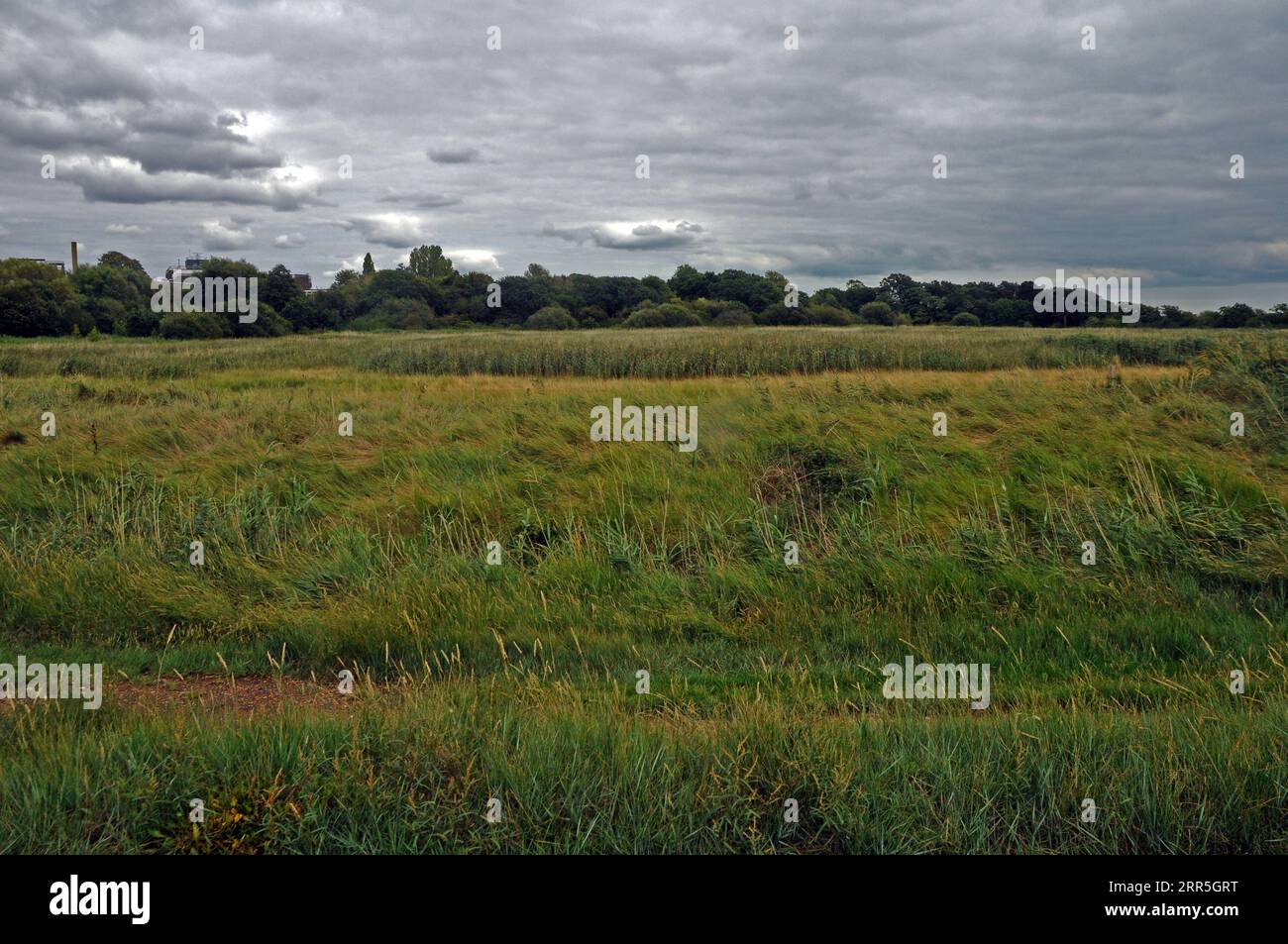 Hook warsash nature reserve hampshire hi-res stock photography and ...