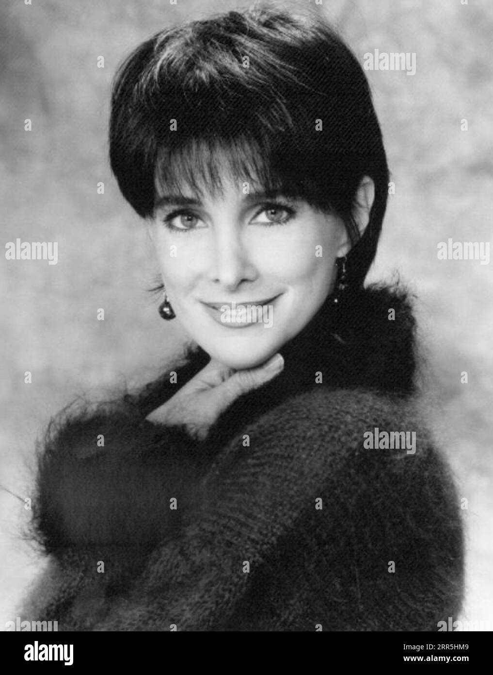 A Holiday to Remember TV MOVIE Connie Sellecca Stock Photo - Alamy
