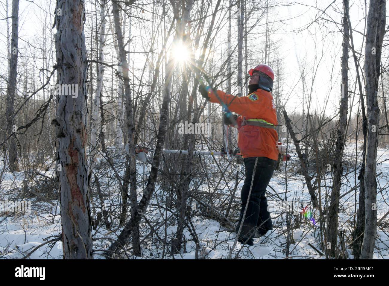 Forestry workers hi-res stock photography and images - Alamy