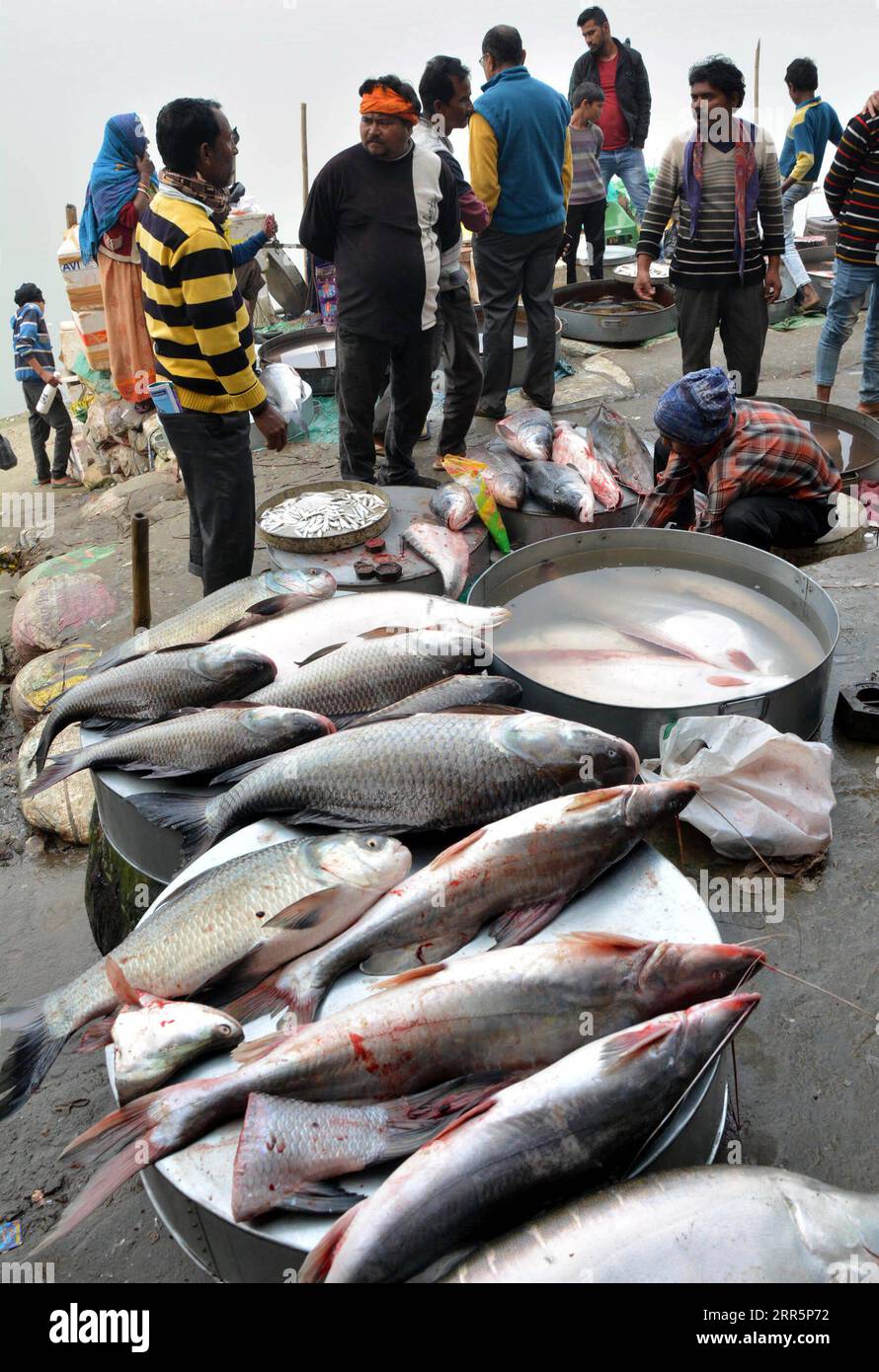 210112 -- GUWAHATI, Jan. 12, 2021 -- People buy fish in a fish market ...