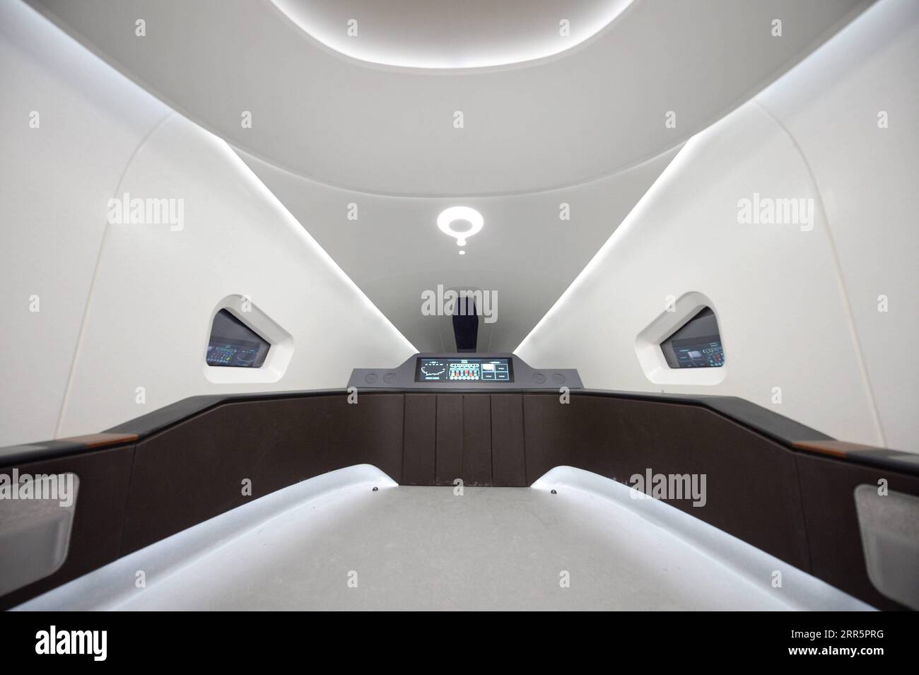 210113 -- CHENGDU, Jan. 13, 2021 -- Photo taken on Jan. 12, 2021 shows ...