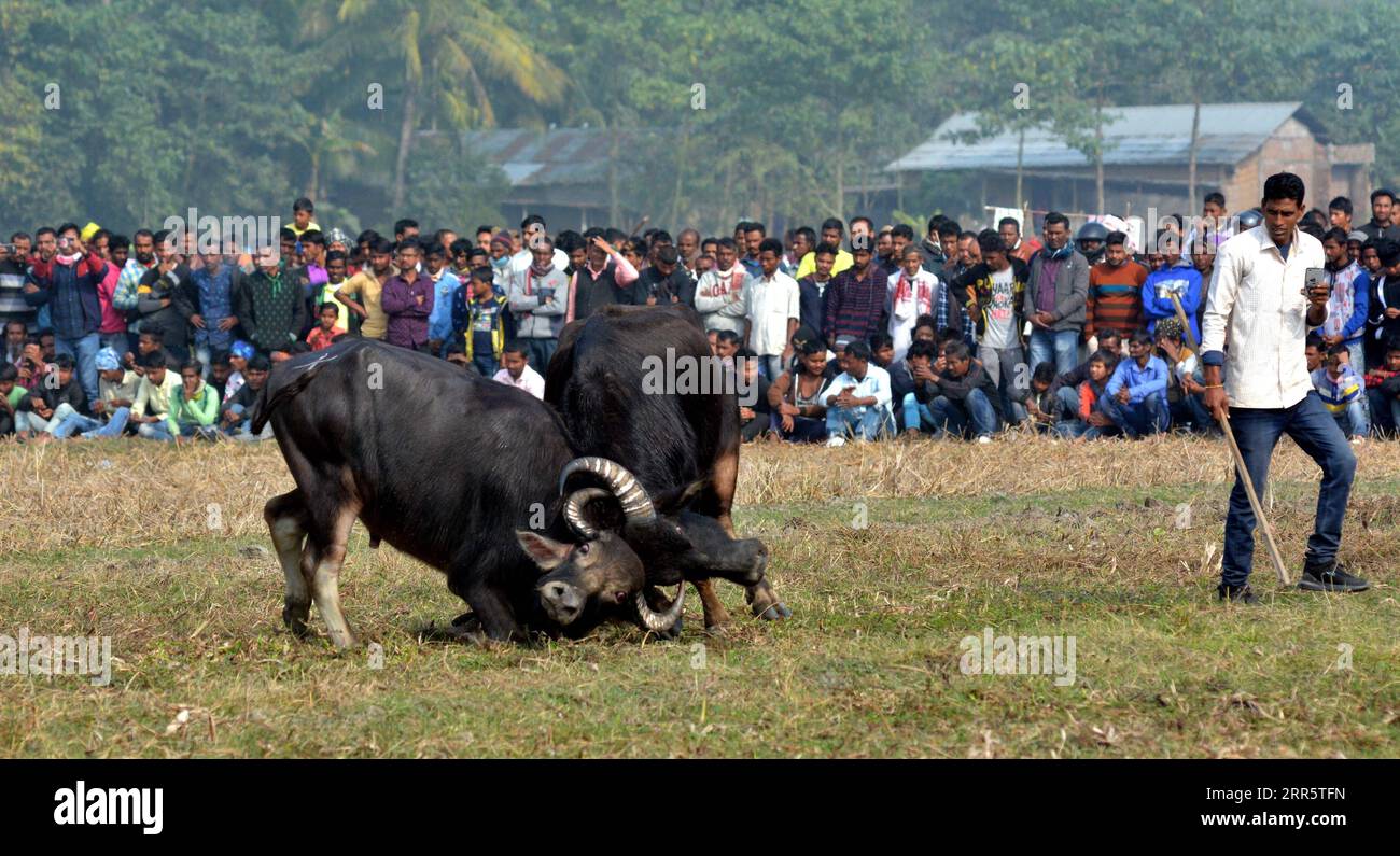 Fight magh hi-res stock photography and images - Alamy