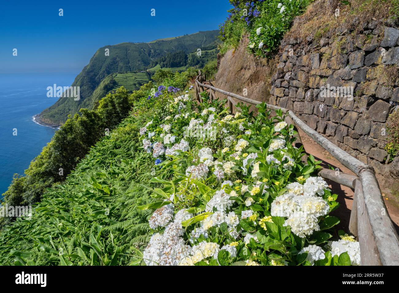 Hiking trail clinging to the cliffs edge surrounded by blooming ...