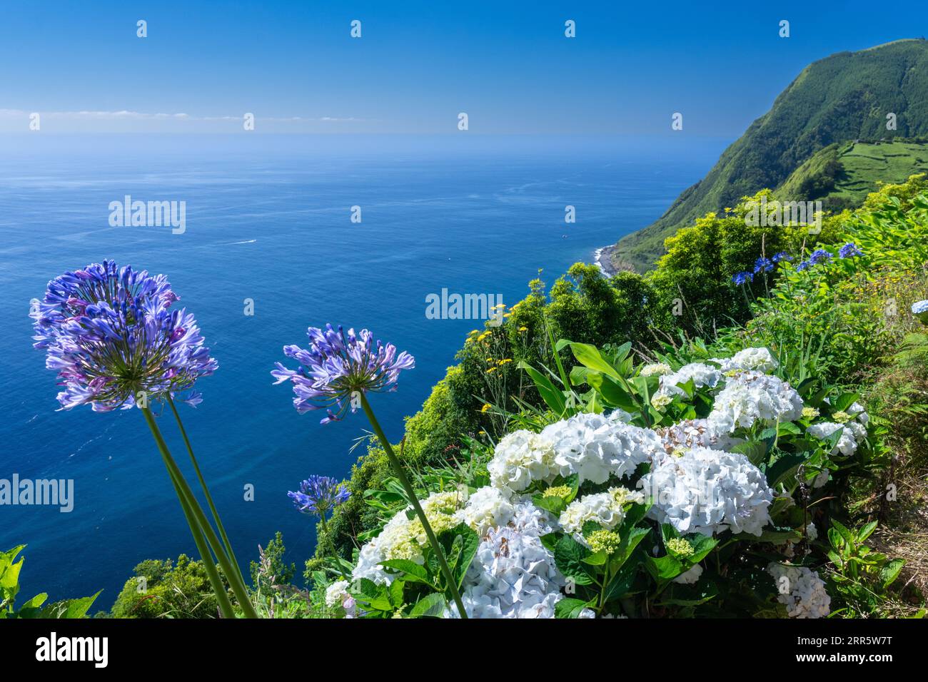 Hydrangea and Agapanthus flowers cling to the cliffs edge at Sossego ...