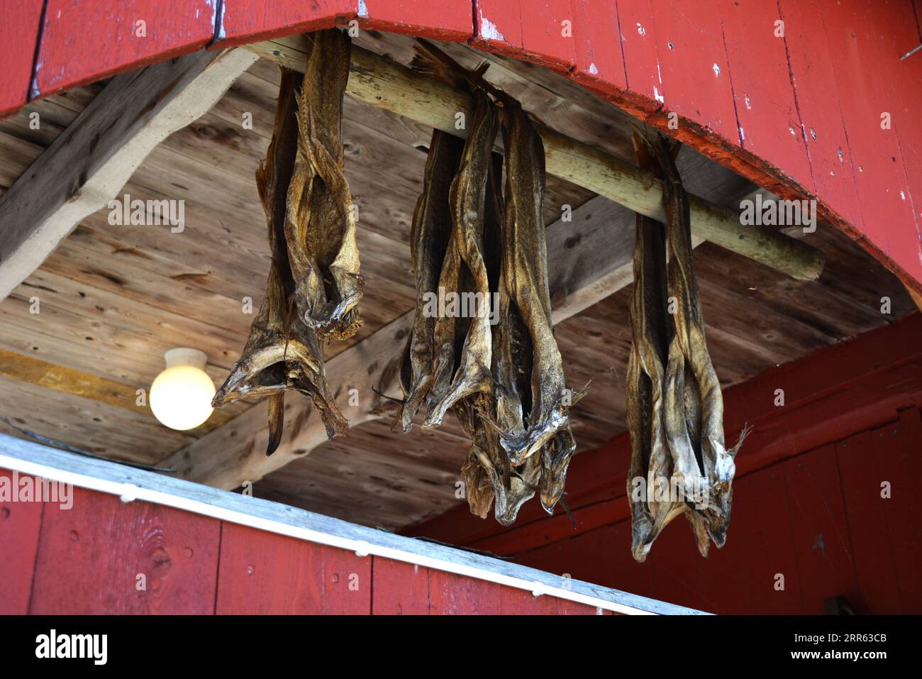 Dried fish in Nusfjord Stock Photo - Alamy