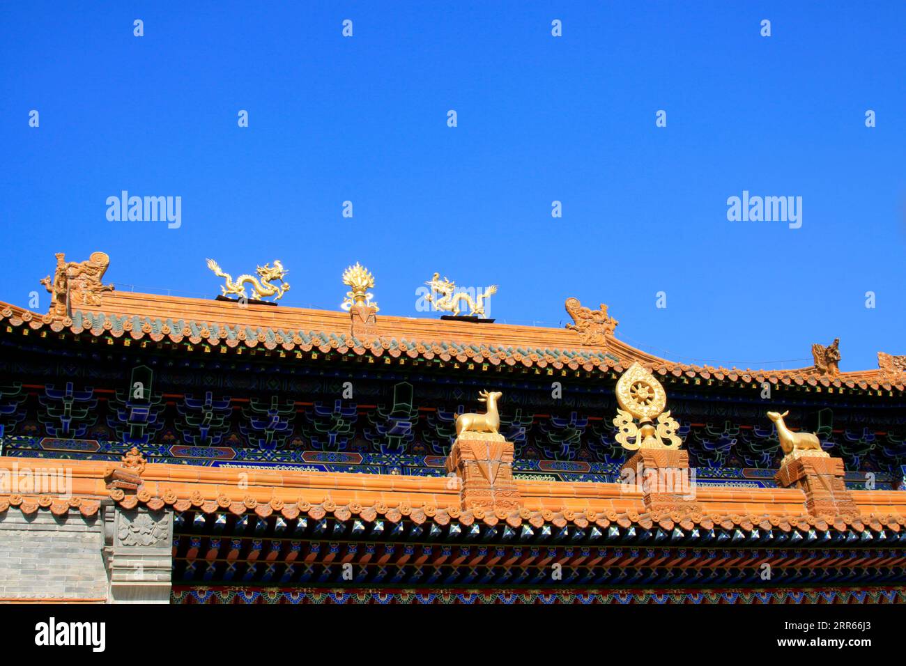 Aureate texture hi-res stock photography and images - Alamy