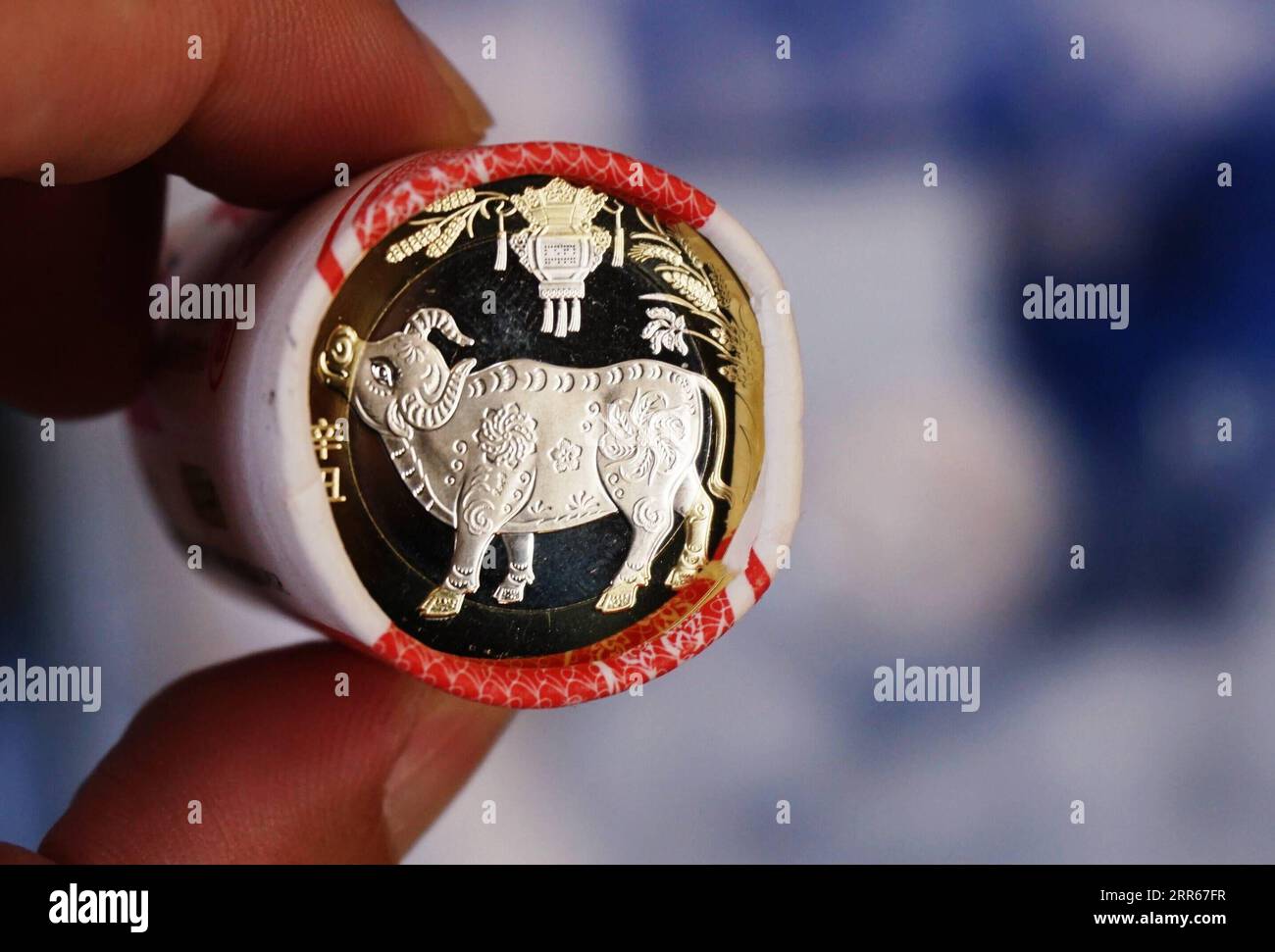 Copper ox hi-res stock photography and images - Alamy