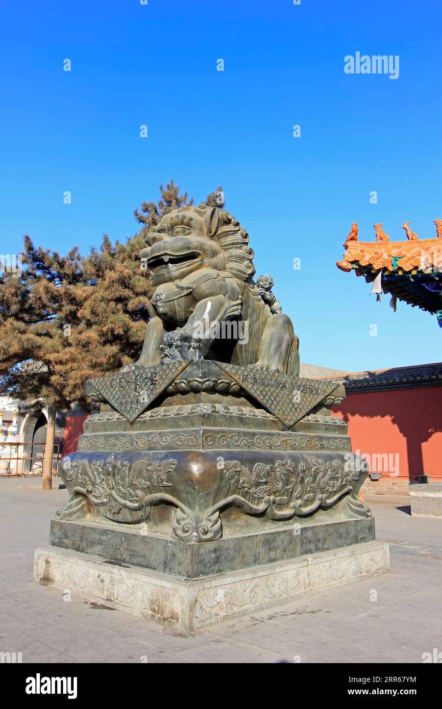 Copper lion hi-res stock photography and images - Alamy