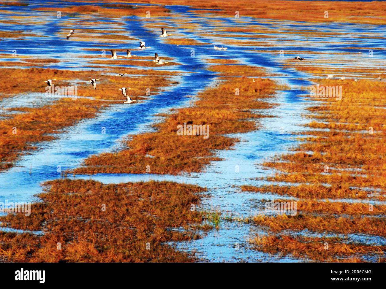Localauthrities hi-res stock photography and images - Alamy