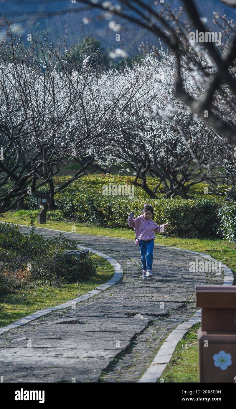 210207 -- ZHEJIANG, Feb. 7, 2021 -- A kid walks under plum trees at ...