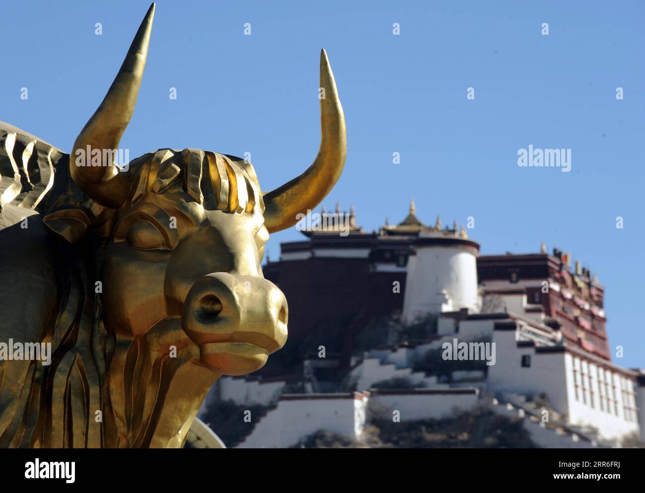 Ox statue china hi-res stock photography and images - Alamy
