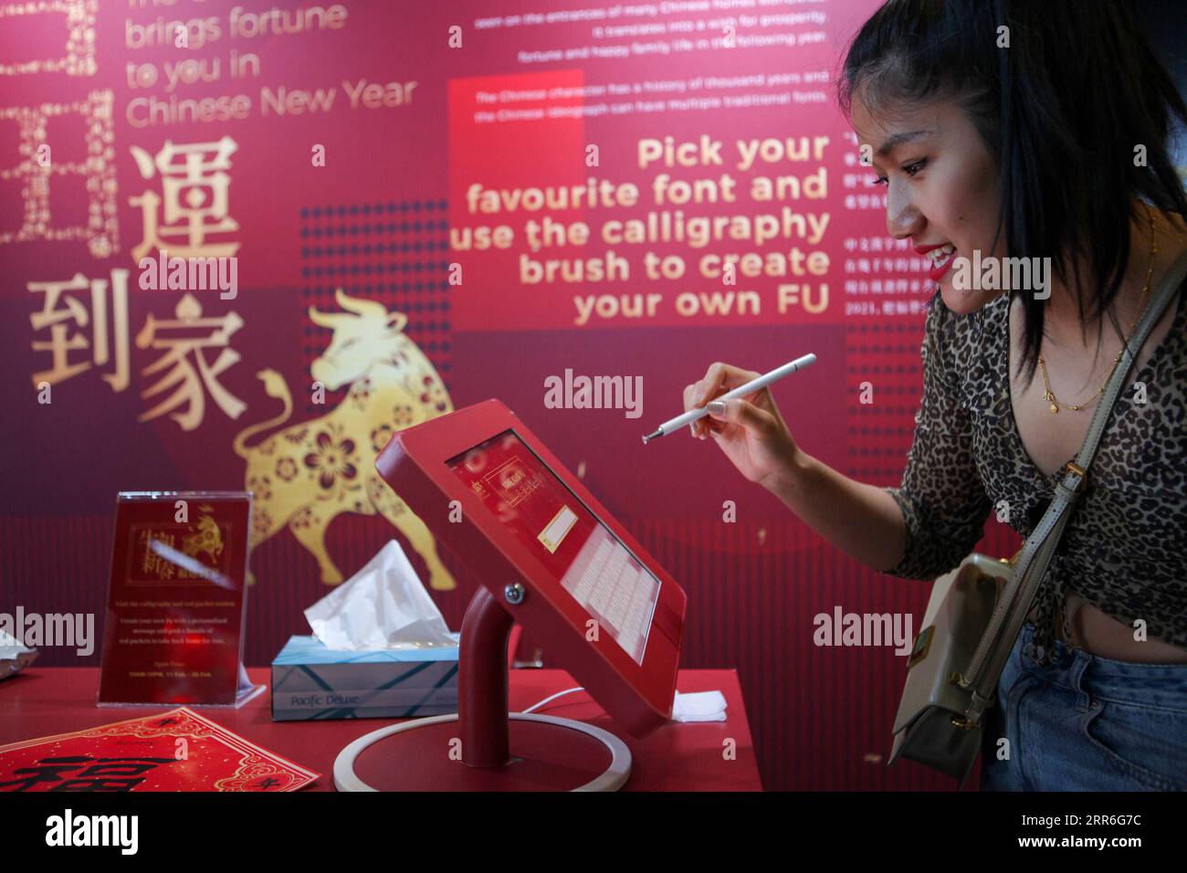 Auckland souvenir hi-res stock photography and images - Alamy