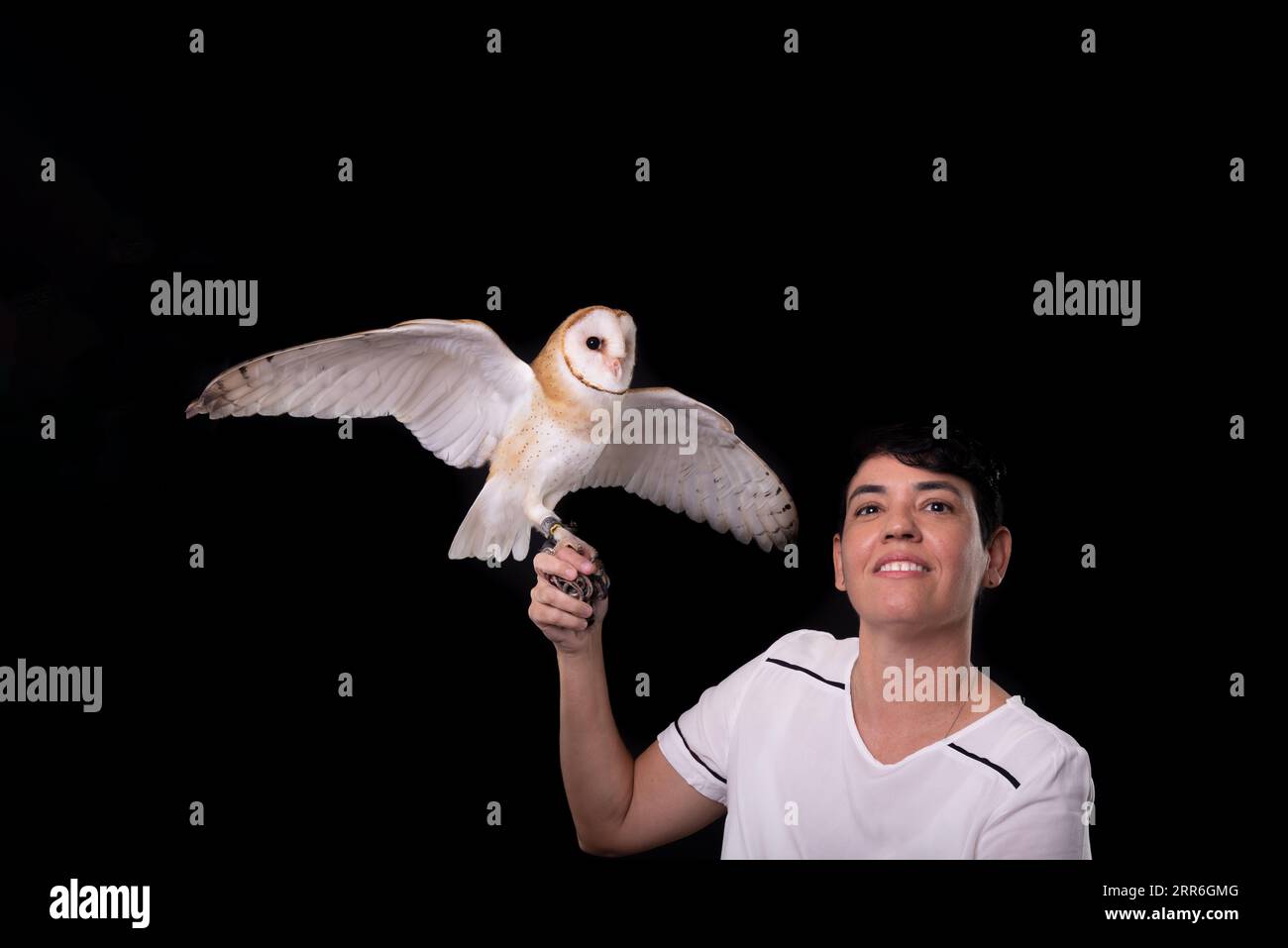 A baby owl with its wings outstretched held by a woman. Wild animal ...