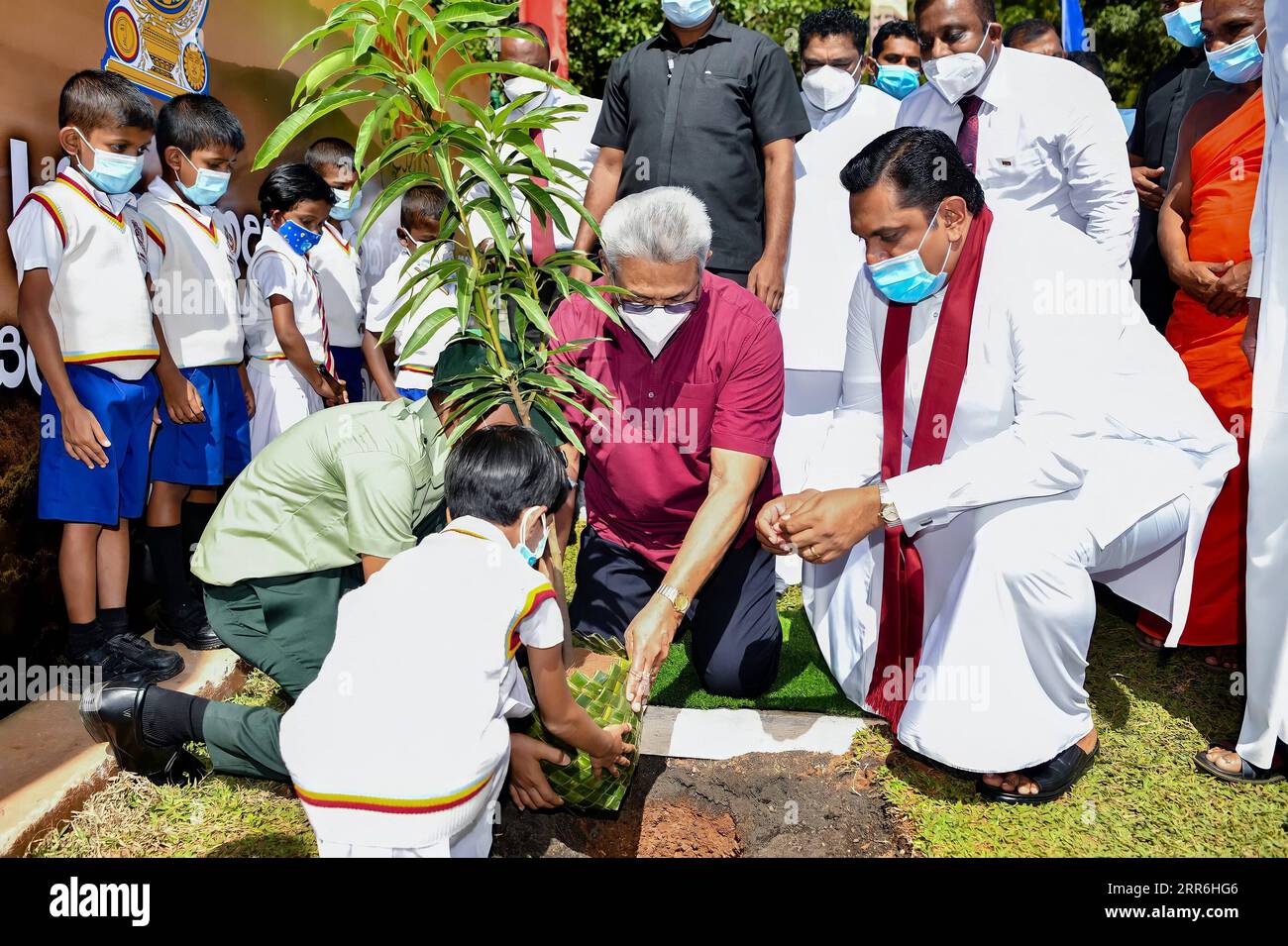 School children planting a tree hi-res stock photography and images - Alamy