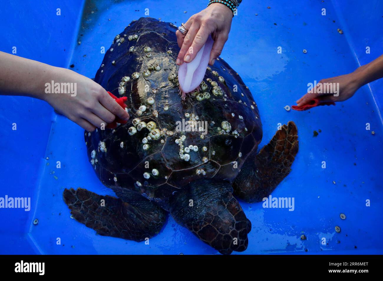 Death tar hi-res stock photography and images - Alamy