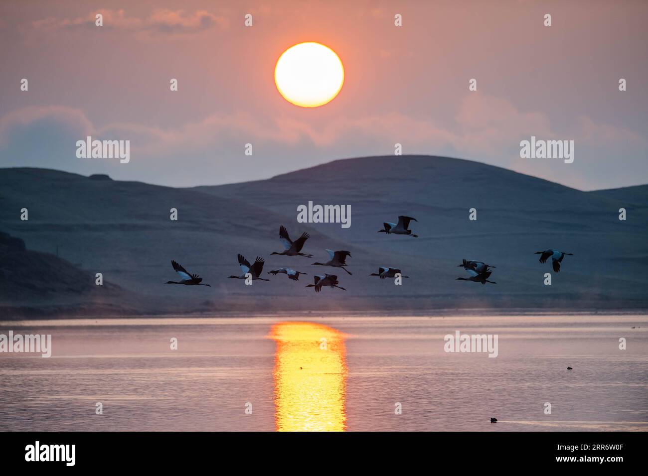 Dashanbao hi-res stock photography and images - Alamy