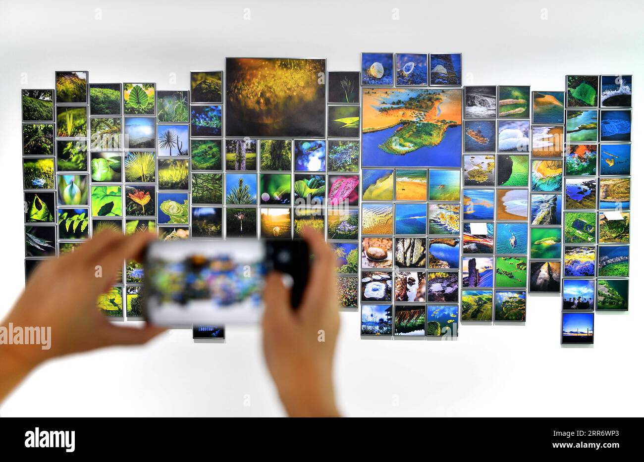 Ecological fee hi-res stock photography and images - Alamy