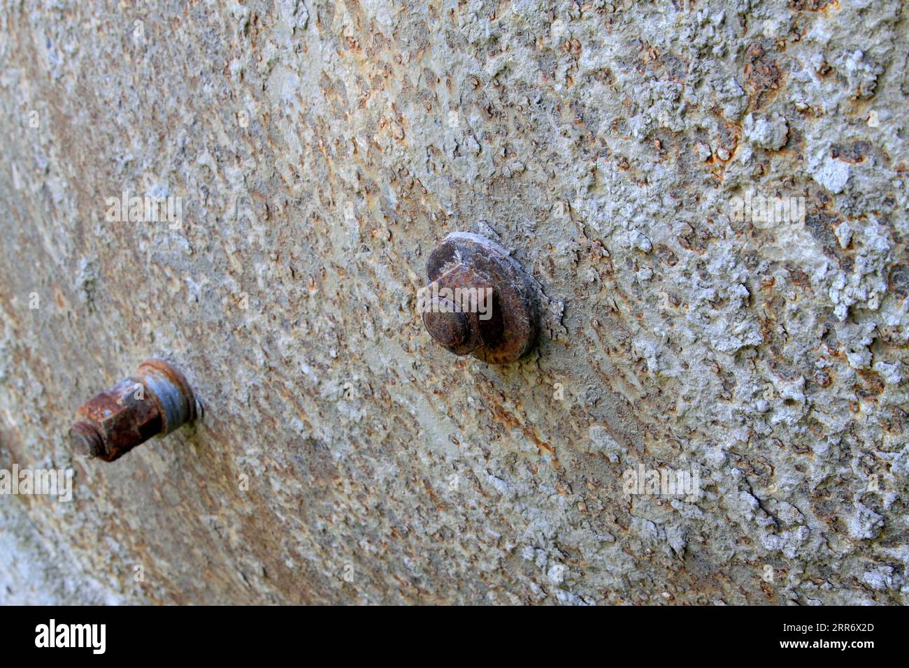 oxidation rust metal screw, closeup of photo Stock Photo - Alamy