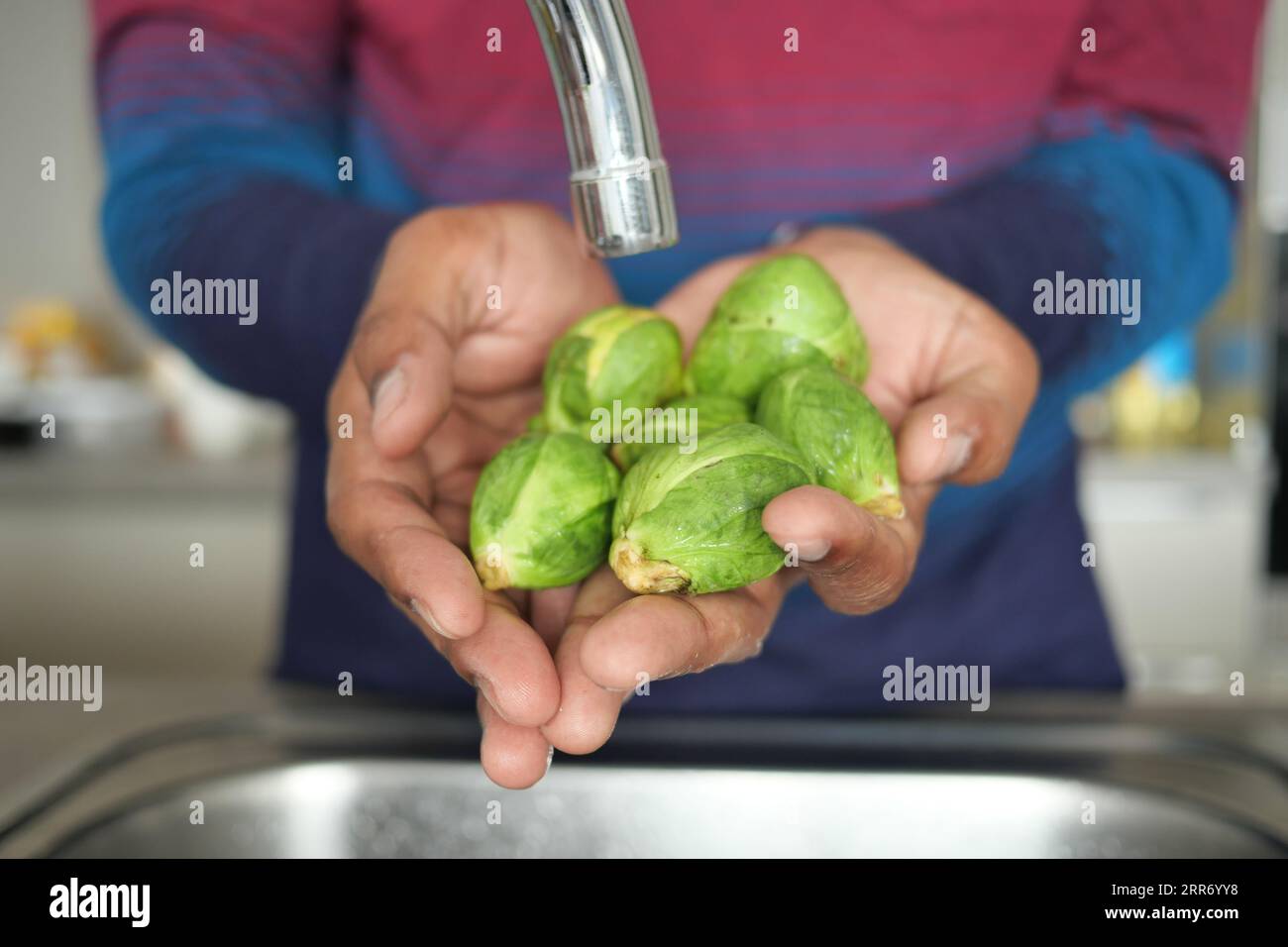 Cleaning sprouts hi-res stock photography and images - Alamy