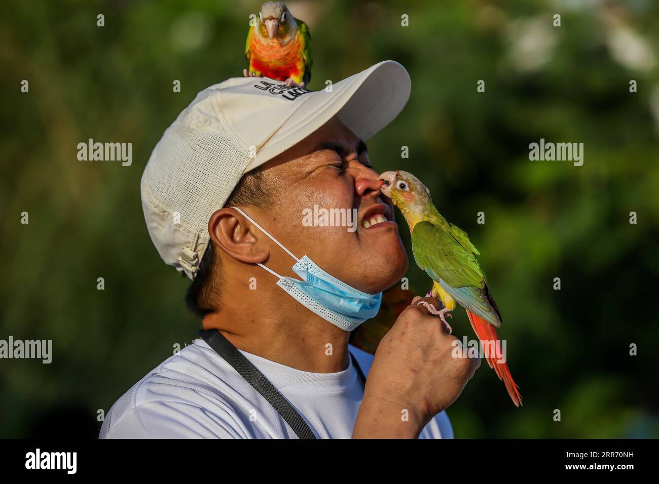 Parrot nose hi-res stock photography and images - Alamy
