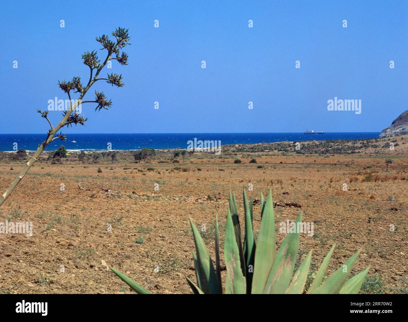 PUNTA NEGRE - PITA. Location: PARQUE NATURAL DE CABO DE GATA. PROVINCIA ...