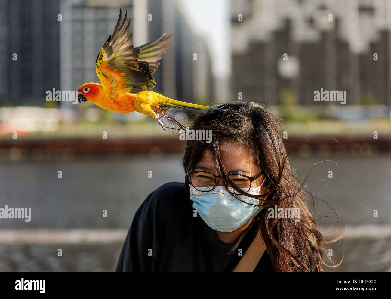 210307 -- MANILA, March 7, 2021 -- A parrot flies from the head of a ...
