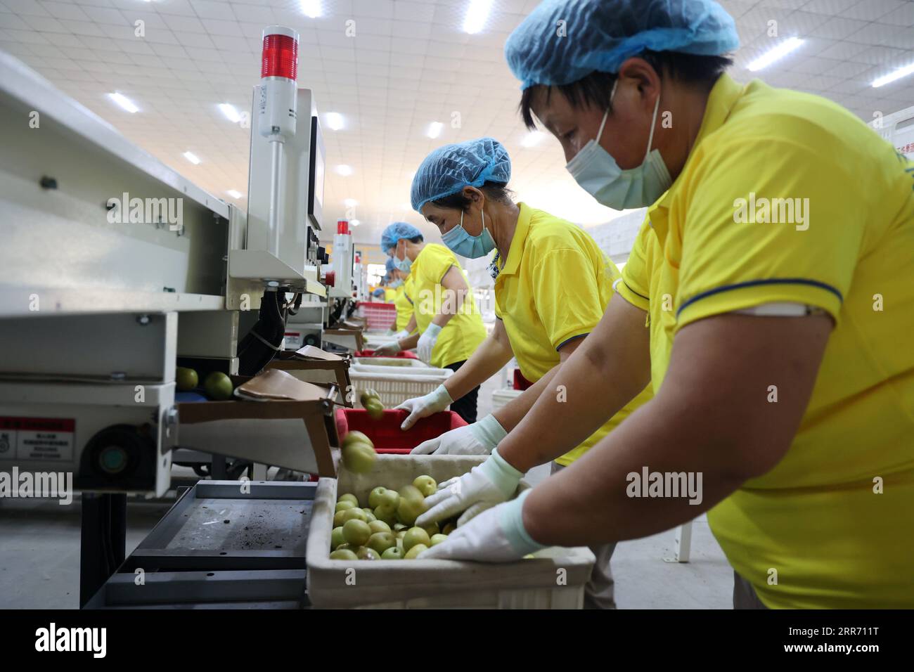 Vegetable import hi-res stock photography and images - Alamy