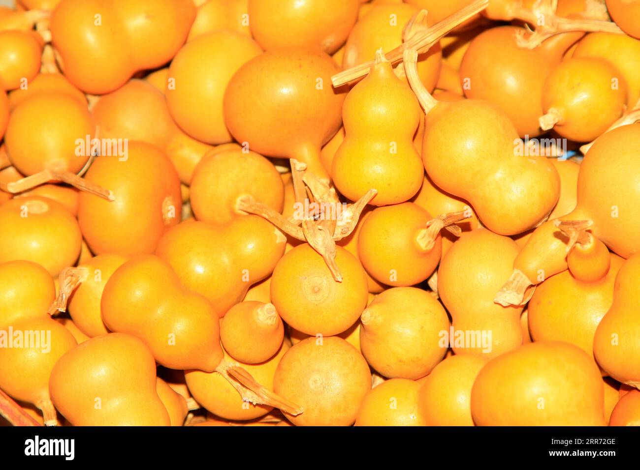 Pocket products hi-res stock photography and images - Alamy