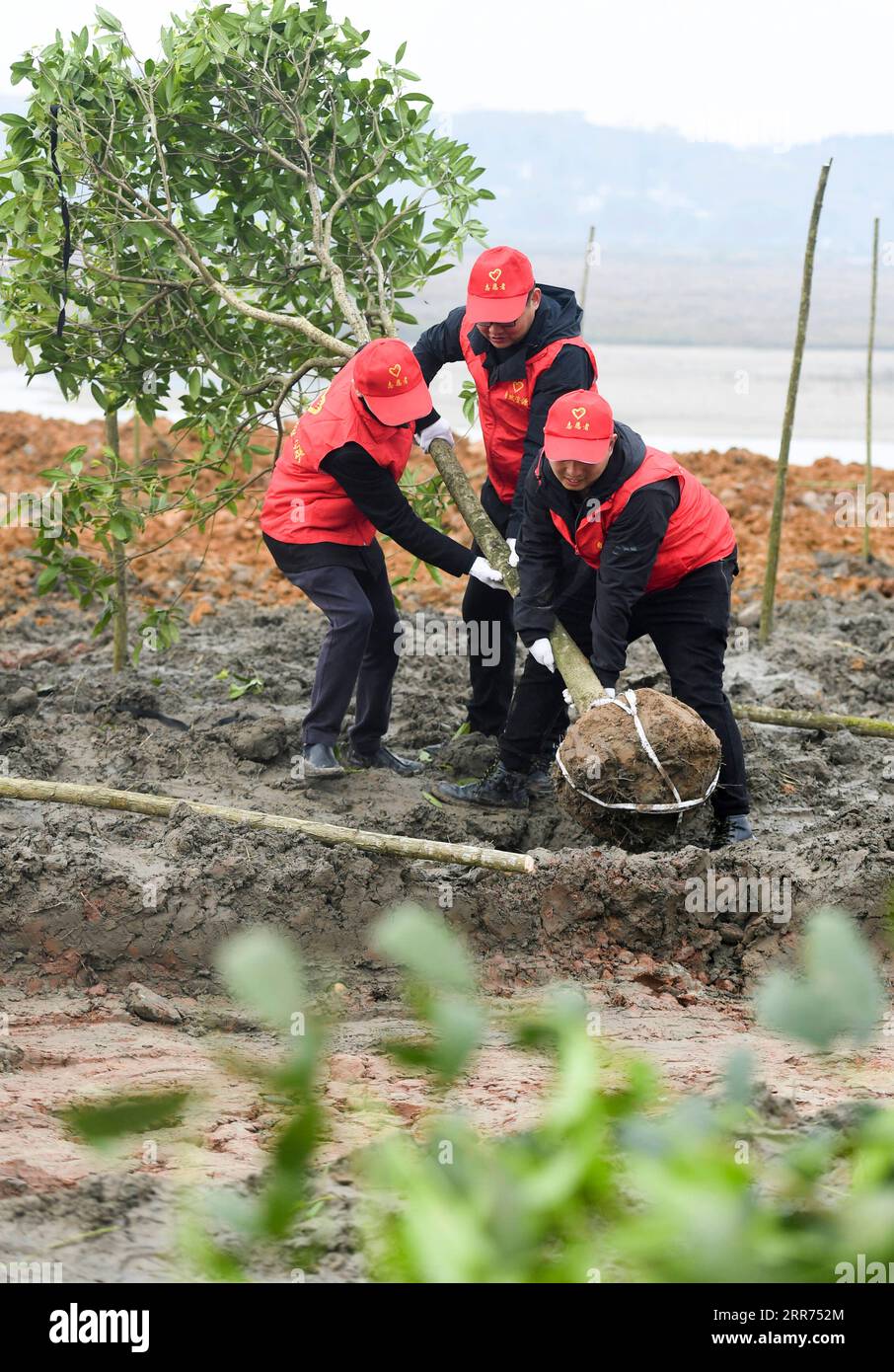 210312 -- NANCHONG, March 12, 2021 -- Volunteers plant trees in Peng an ...