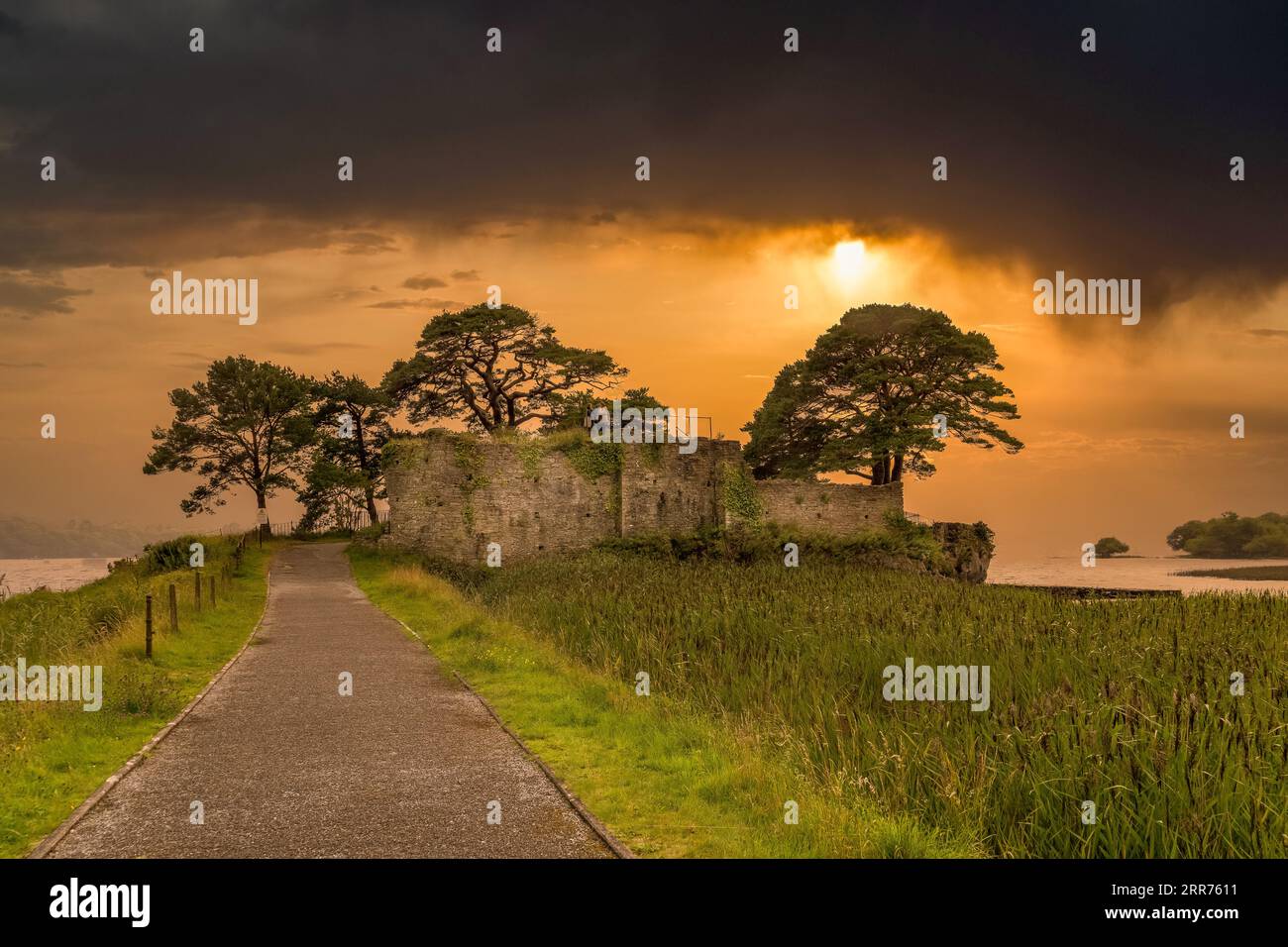Castlelough ruined fortified tower house on a golf course on a low ...