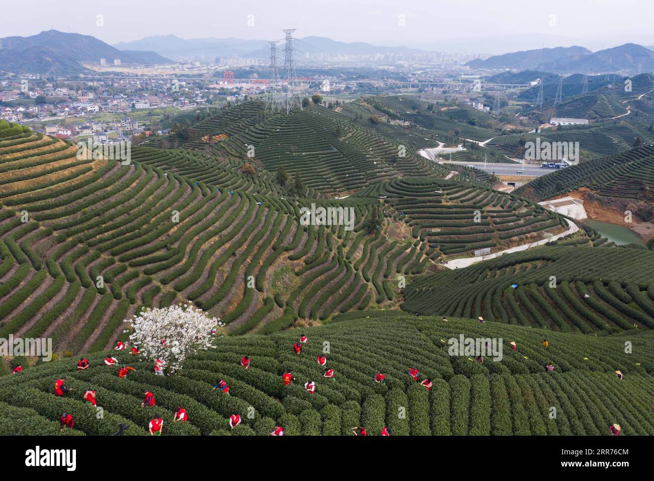 Live streaming china hangzhou hi-res stock photography and images - Alamy