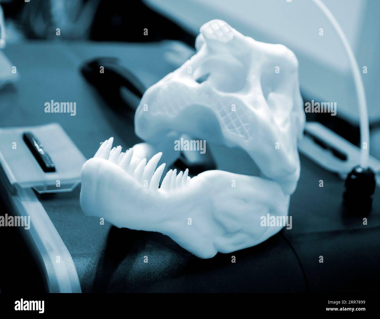 Art object printed on 3D printer. Prototype dinosaur skull head with ...