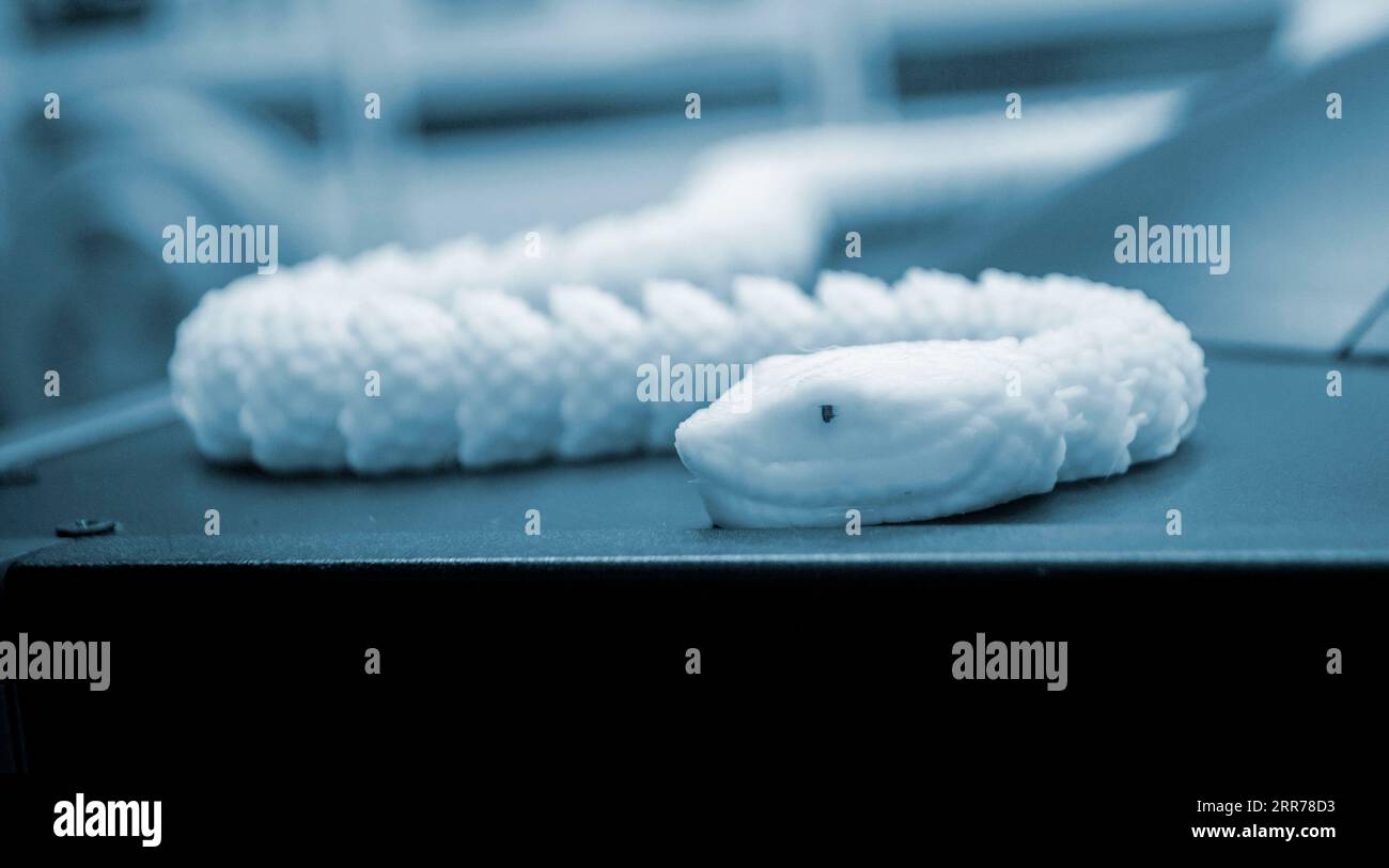 Art object printed on 3D printer. Prototype small snake. Model printed ...