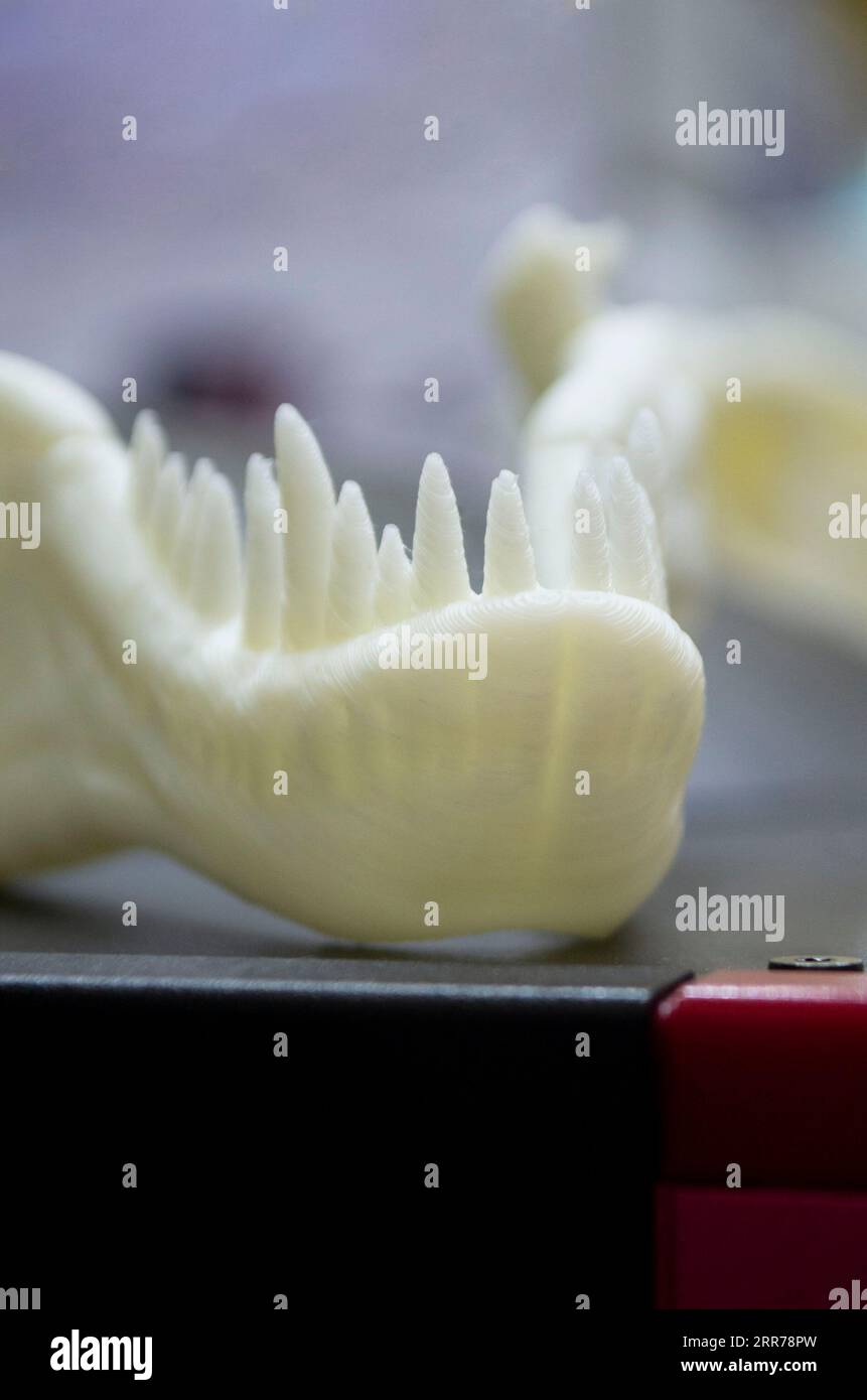 Art object printed on 3D printer. Prototype lower jaw with animal ...