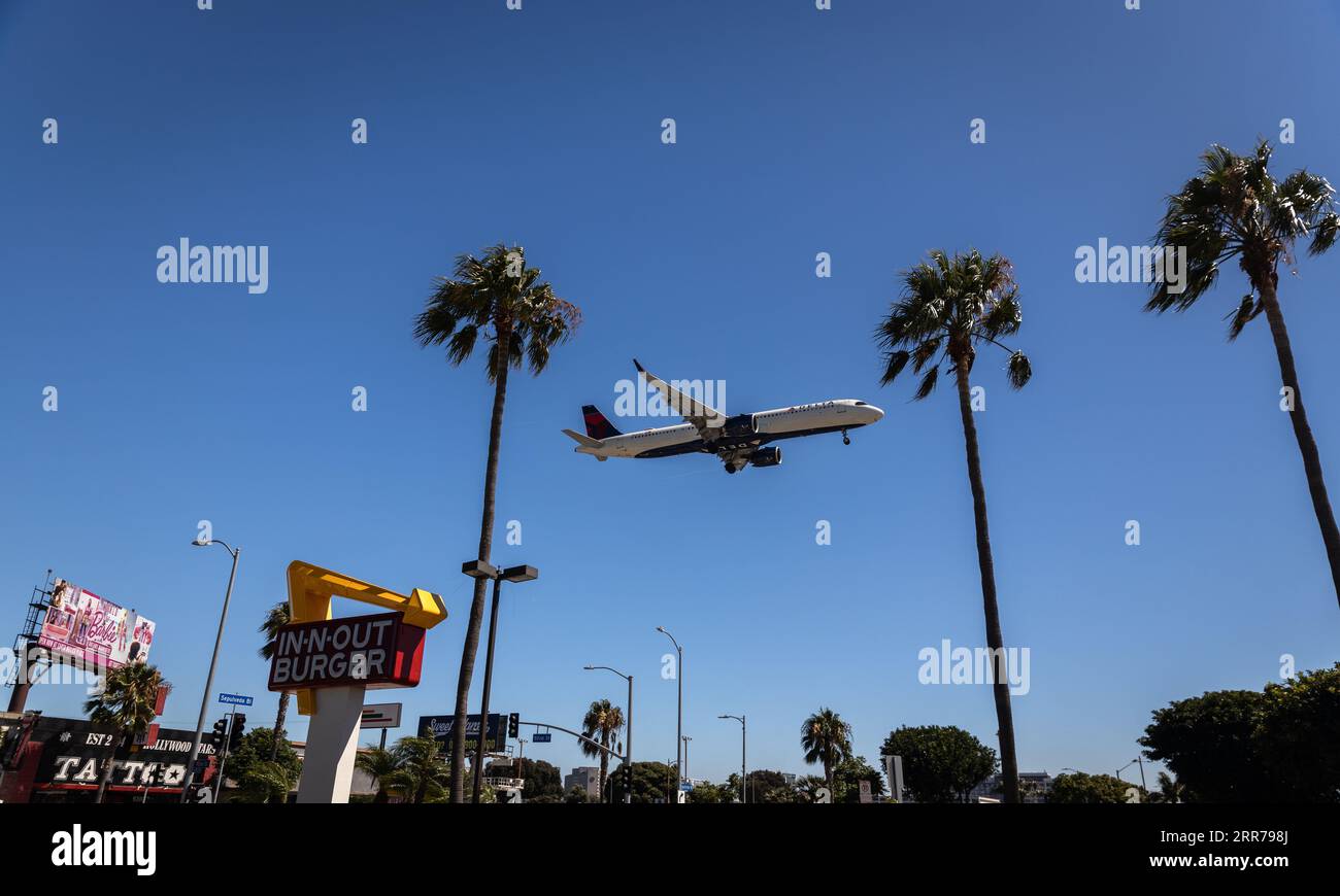 Flying aerial palm trees california hi-res stock photography and images ...