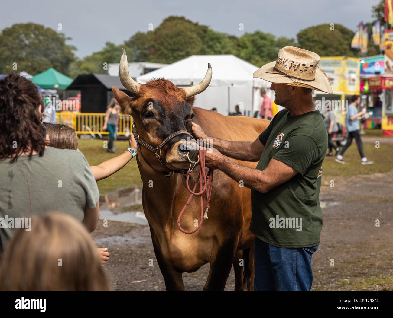 A large group of people gathered around a brown cow with long horns at ...