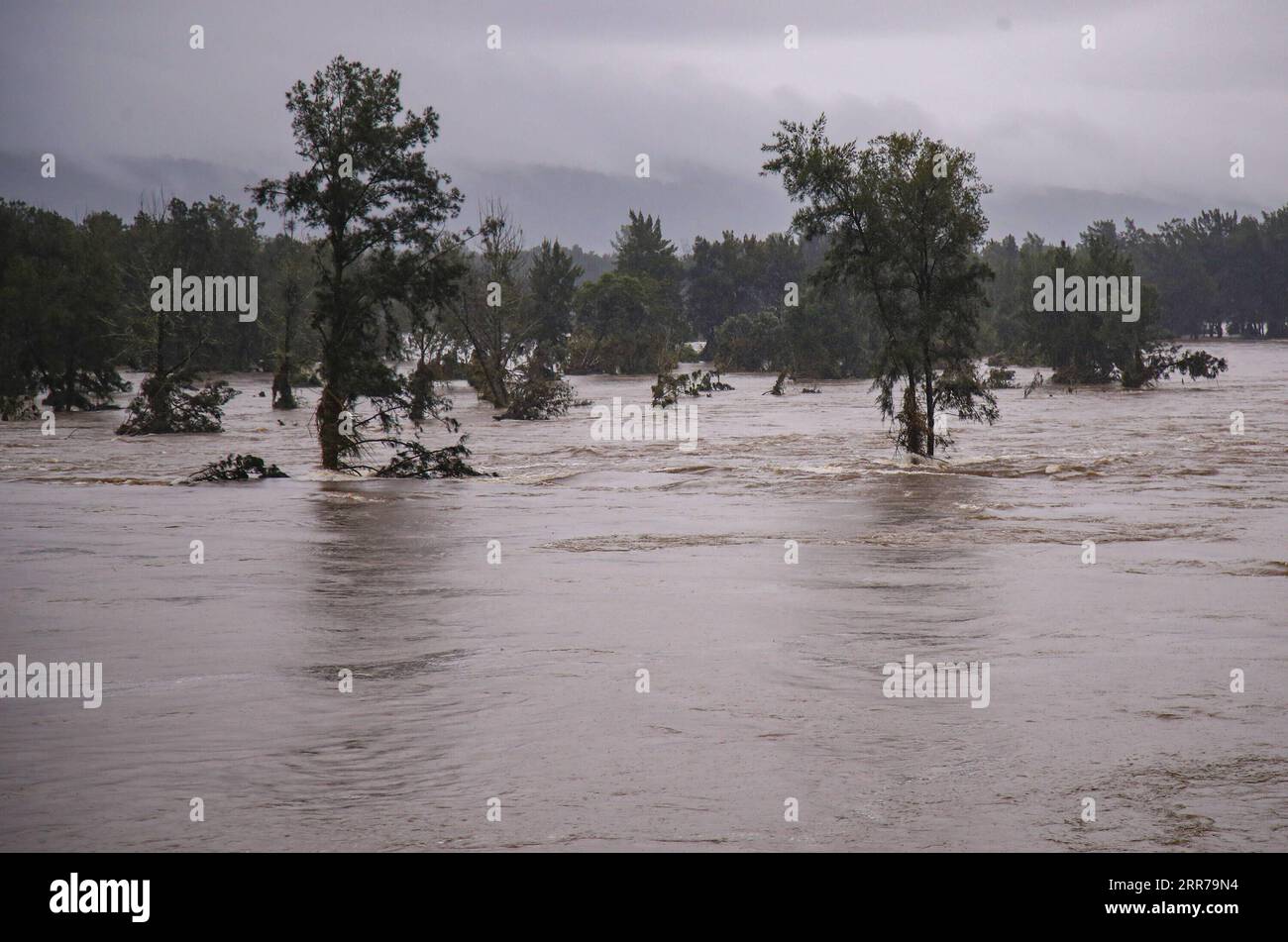 Australia sydney rainfal hi-res stock photography and images - Alamy