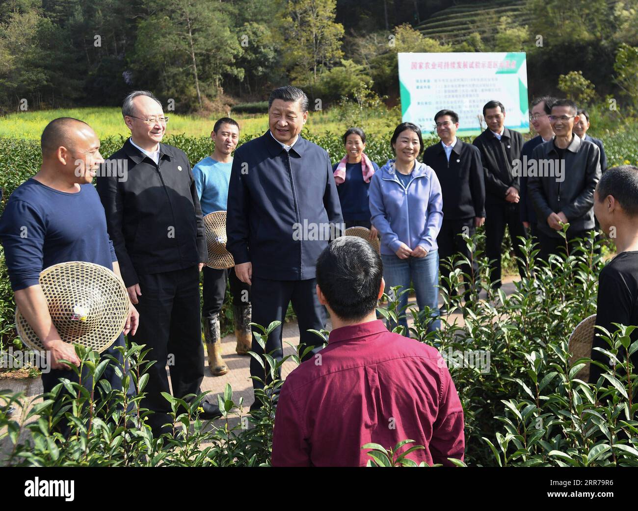 Tea garden fujian hi-res stock photography and images - Alamy