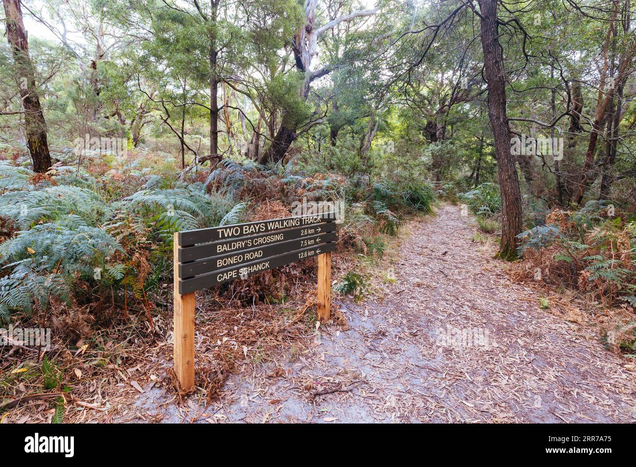 Part of the Two Bays Walking Track between Baldry's Crossing Picnic ...