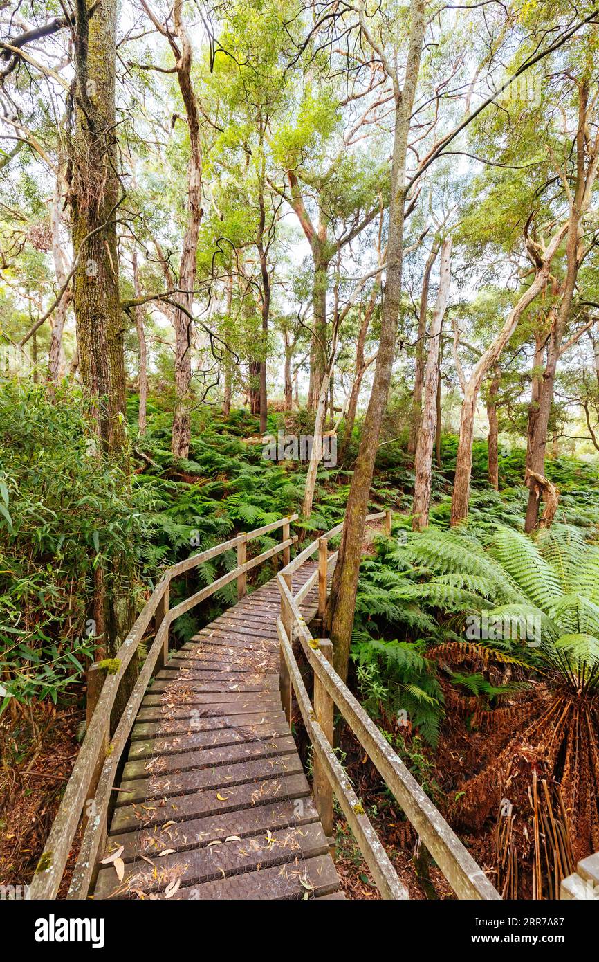 Part of the Two Bays Walking Track between Baldry's Crossing Picnic ...
