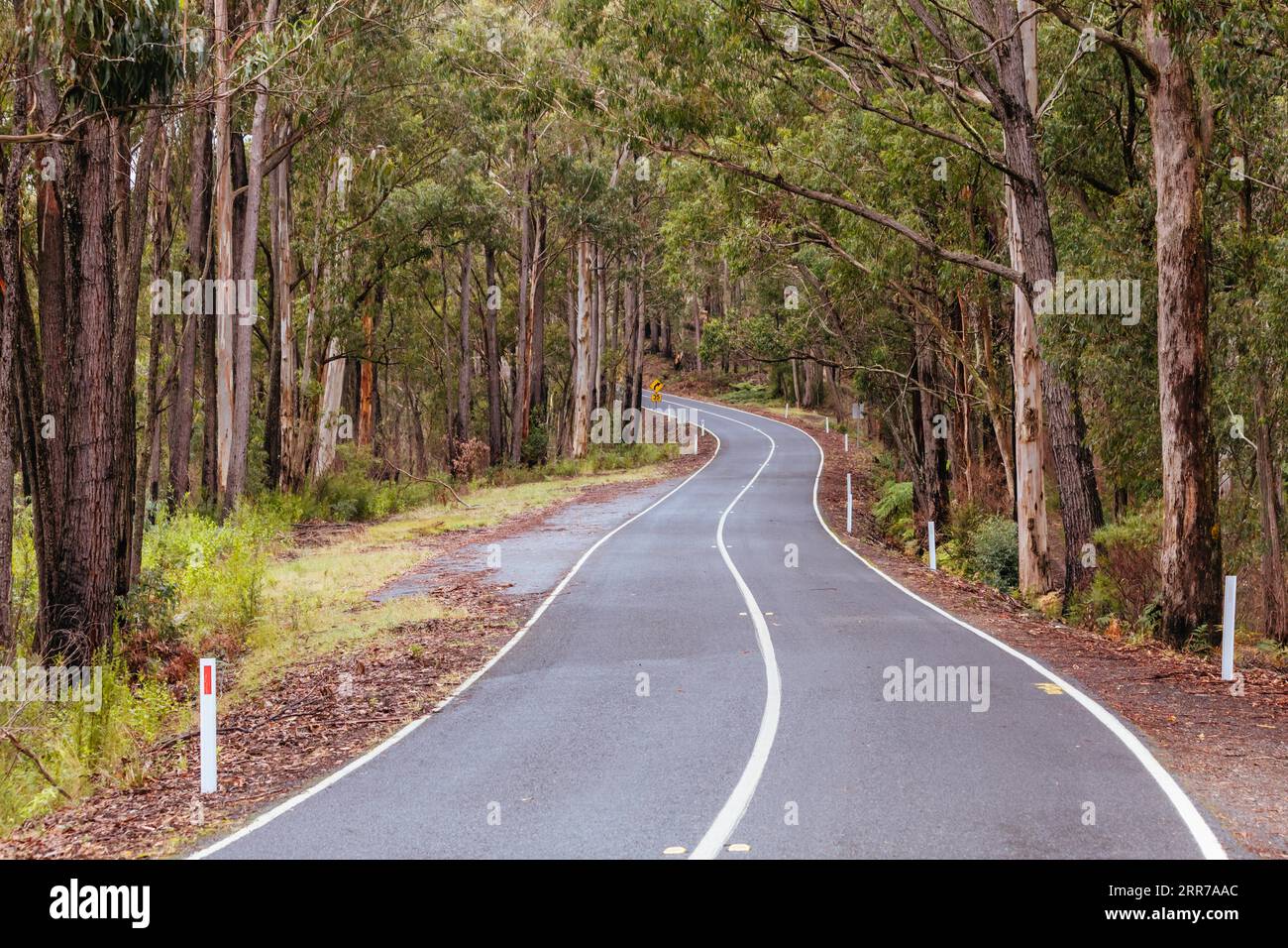 Reefton spur hi-res stock photography and images - Alamy