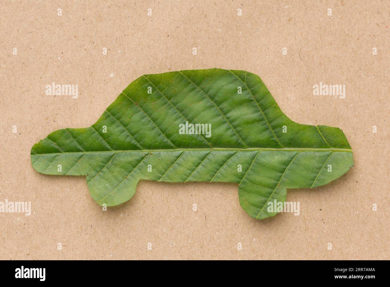 Car leaf shape Stock Photo - Alamy