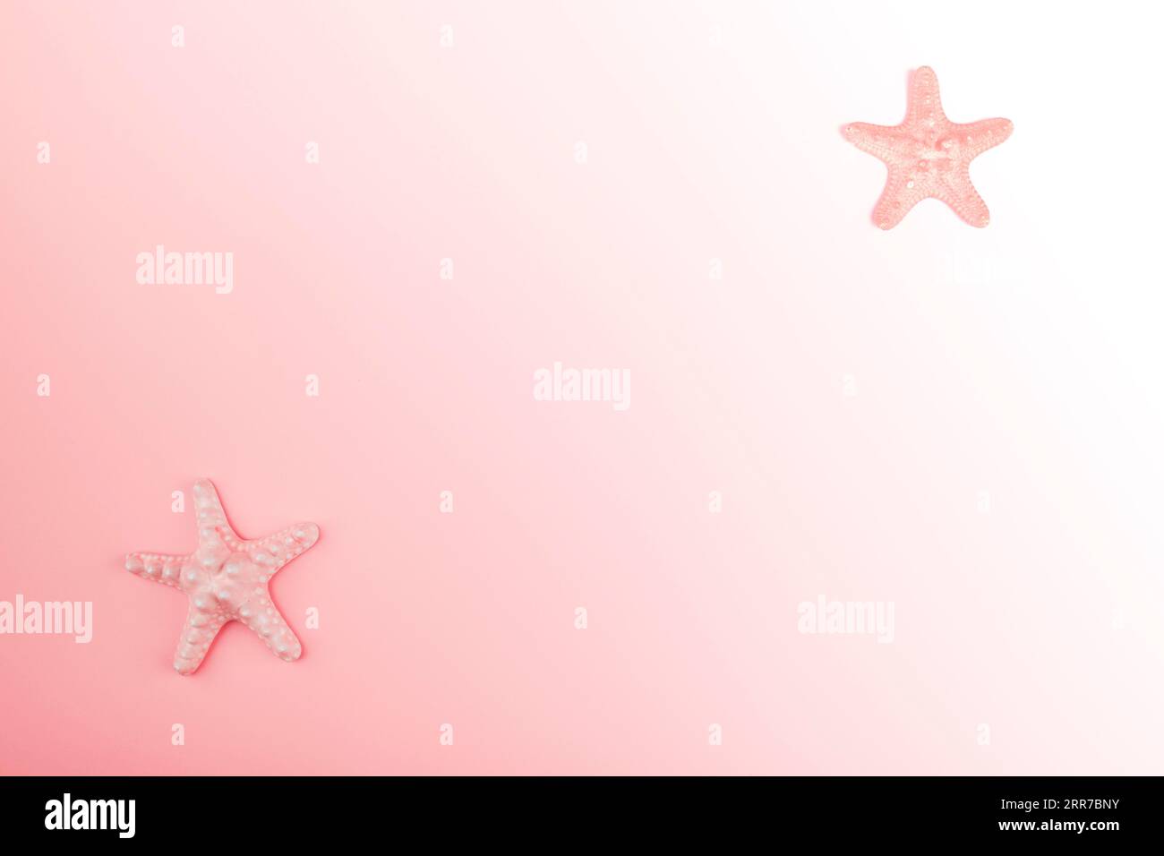 Starfish corner pink gradient background Stock Photo - Alamy