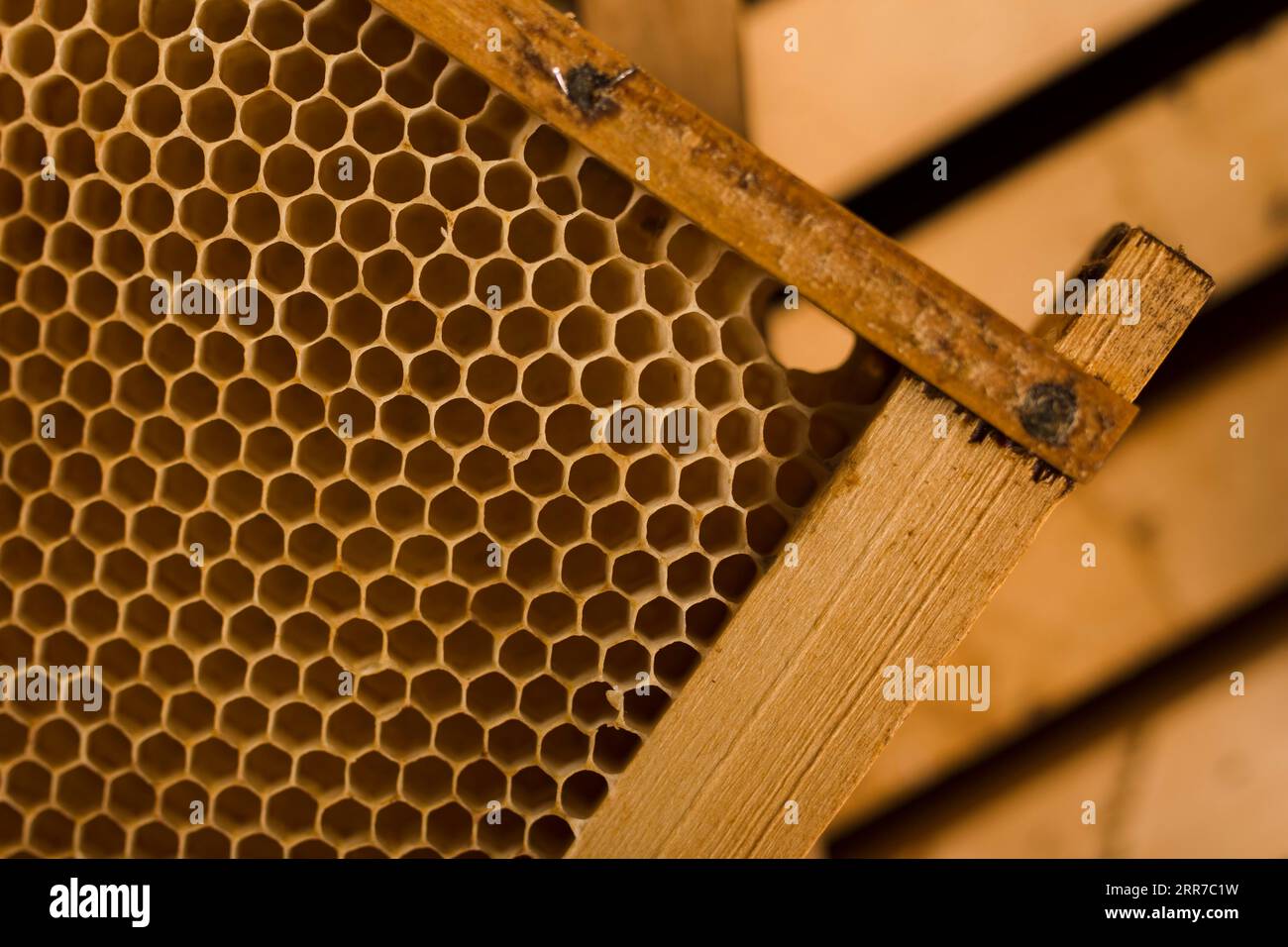 Honeycomb nut hi-res stock photography and images - Alamy